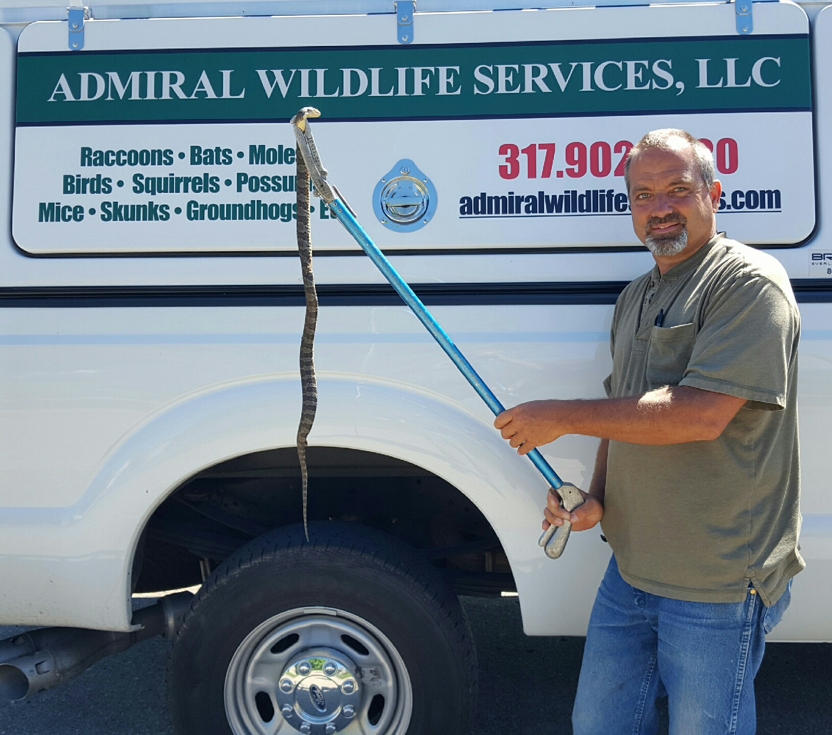 snake – Admiral Wildlife Services